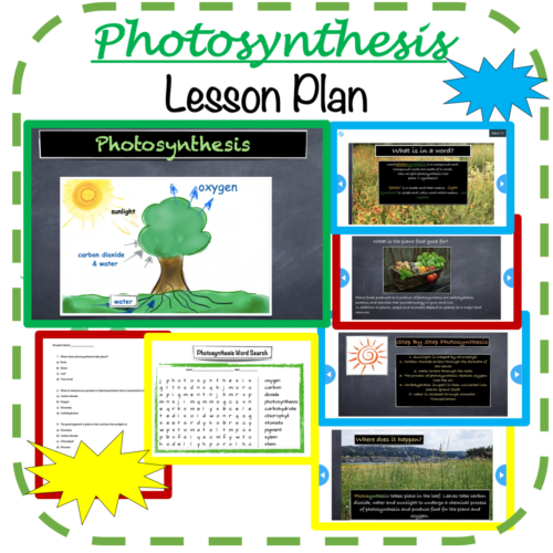 Photosynthesis NO Prep NGSS Lesson | Made By Teachers
