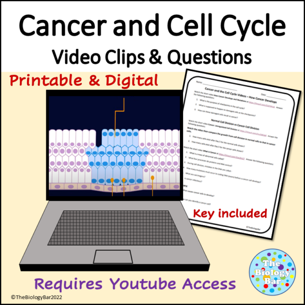 Cancer and Cell Cycle Video Clips and Questions | Made By Teachers