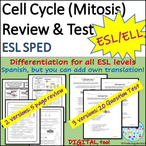 ESL Biology Cell Cycle Mitosis Review and Test | Made By Teachers