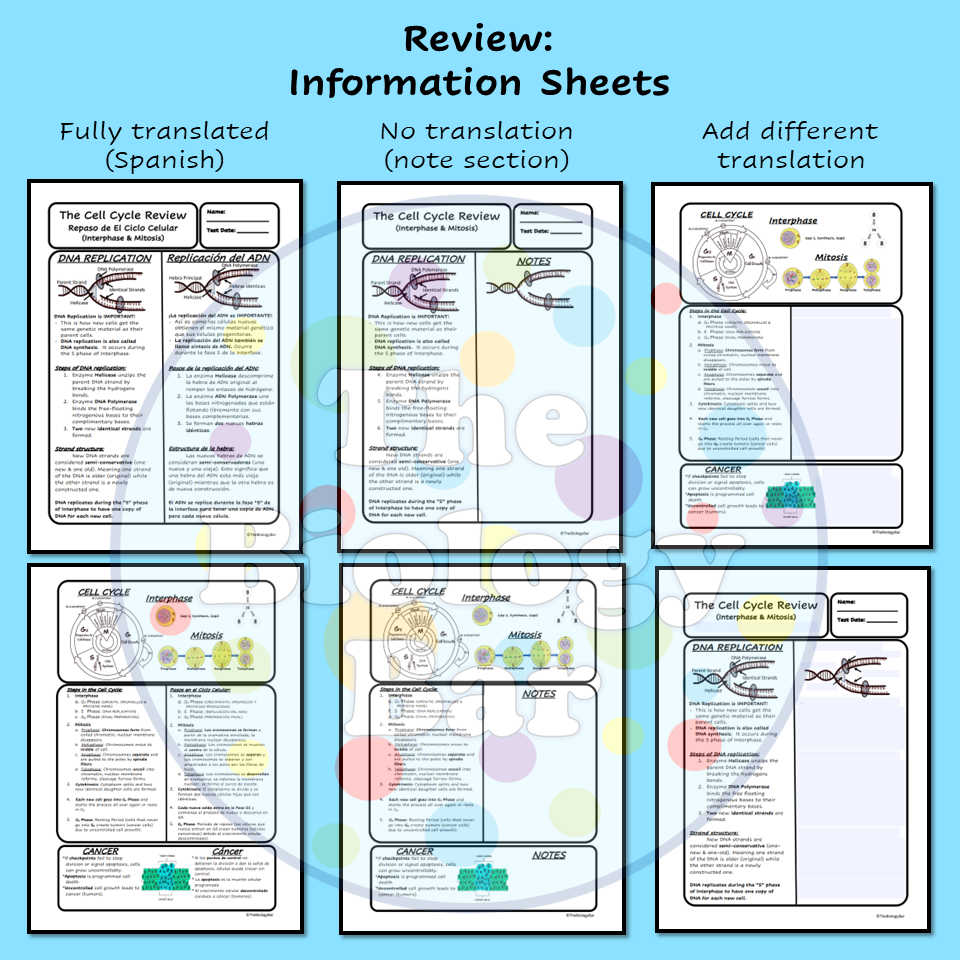ESL Biology Cell Cycle Mitosis Review and Test | Made By Teachers