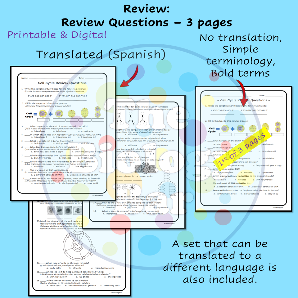ESL Biology Cell Cycle Mitosis Review and Test | Made By Teachers