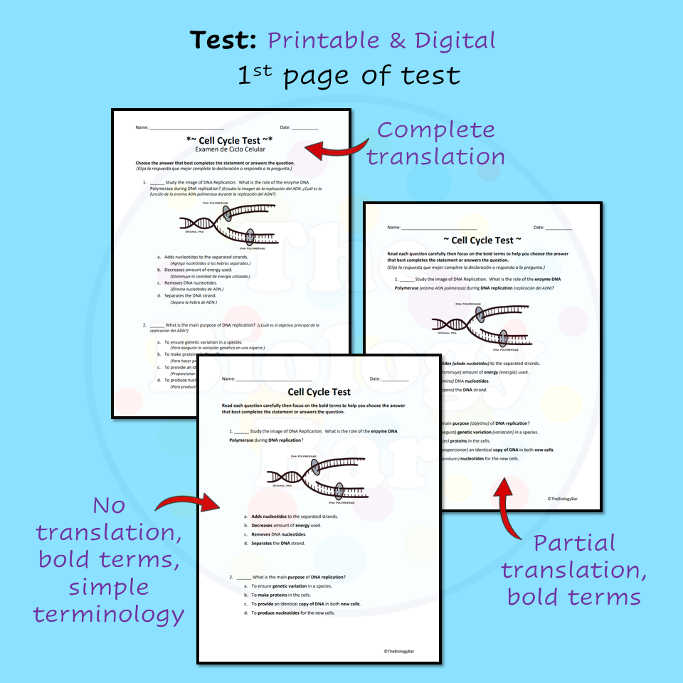 ESL Biology Cell Cycle Mitosis Review and Test | Made By Teachers