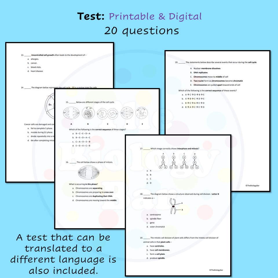 ESL Biology Cell Cycle Mitosis Review and Test | Made By Teachers