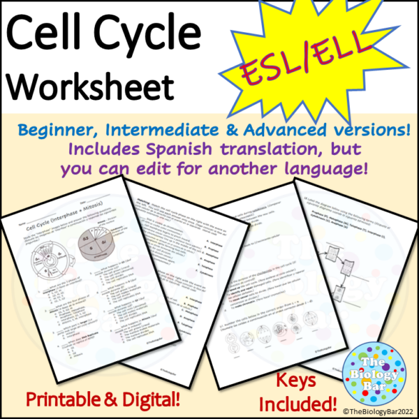 ESL Biology Cell Transport Worksheet | Made By Teachers
