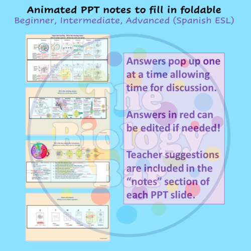 ESL Biology Cell Cycle Mitosis Notes and Foldable | Made By Teachers