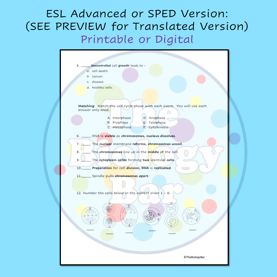 ESL Biology and SPED Cell Cycle Mitosis Quiz | Made By Teachers