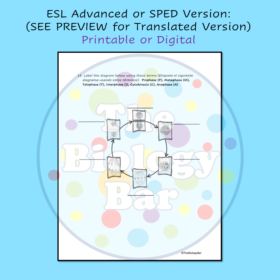 ESL Biology and SPED Cell Cycle Mitosis Quiz | Made By Teachers