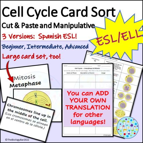 ESL Biology Cell Cycle Mitosis Card Sort | Made By Teachers