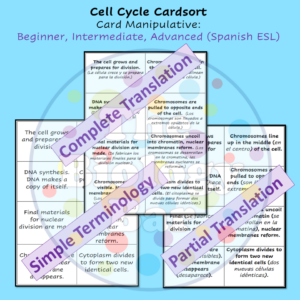 ESL Biology Cell Cycle Mitosis Card Sort | Made By Teachers