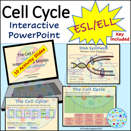 ESL Biology Cell Cycle Mitosis Interactive PowerPoint | Made By Teachers