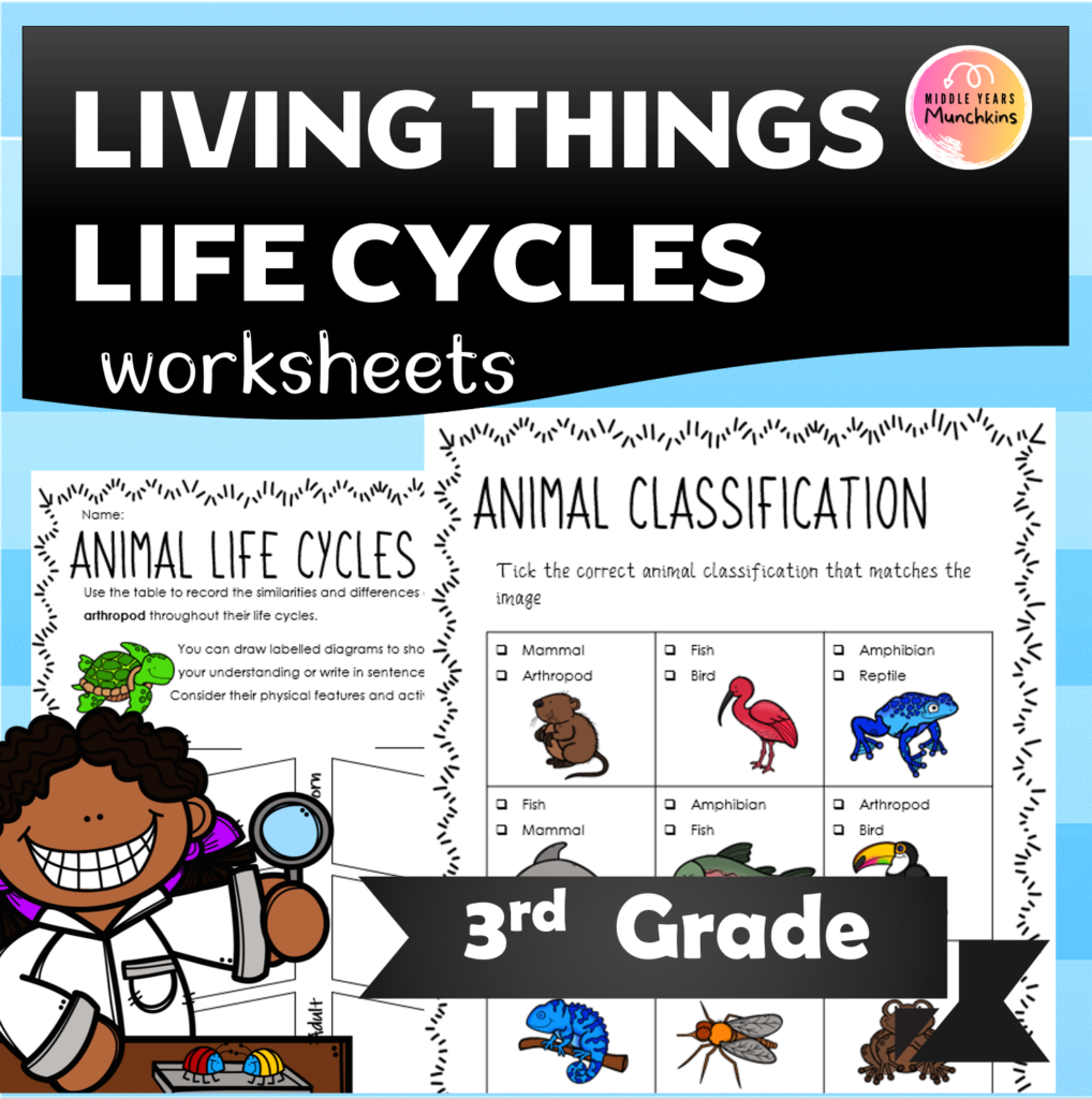 Living, Non-Living and Life Cycle Resource Bundle | Made By Teachers