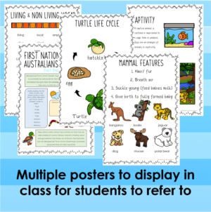 Living, Non-Living and Life Cycles Worksheets | Made By Teachers