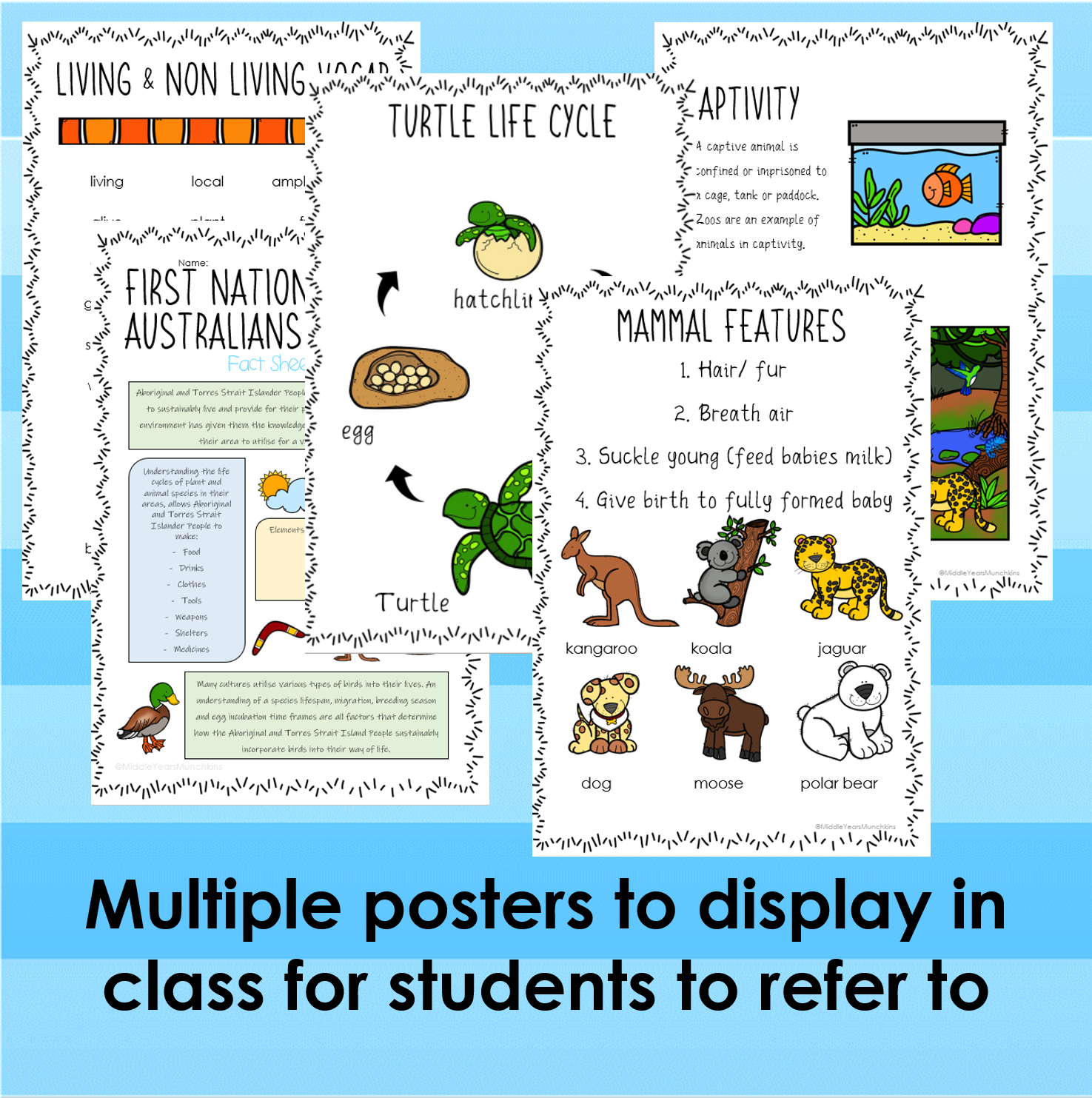 Living, Non-Living and Life Cycles Worksheets | Made By Teachers