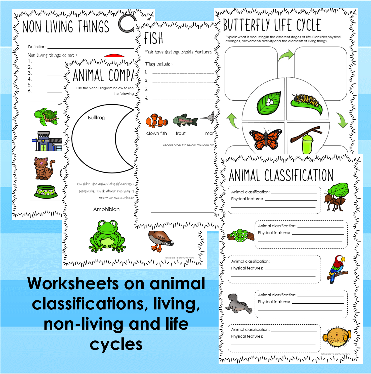 Living, Non-Living and Life Cycles Worksheets | Made By Teachers
