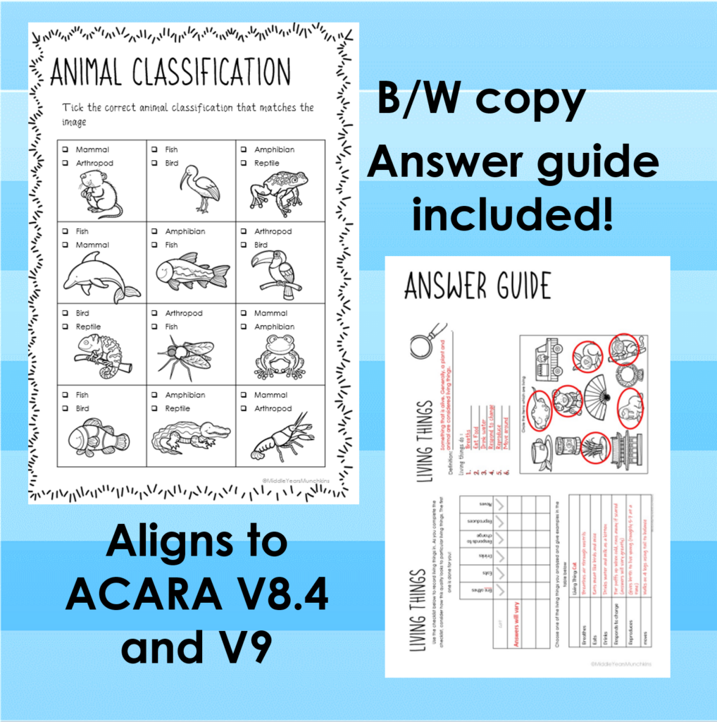 Living, Non-Living and Life Cycles Worksheets | Made By Teachers