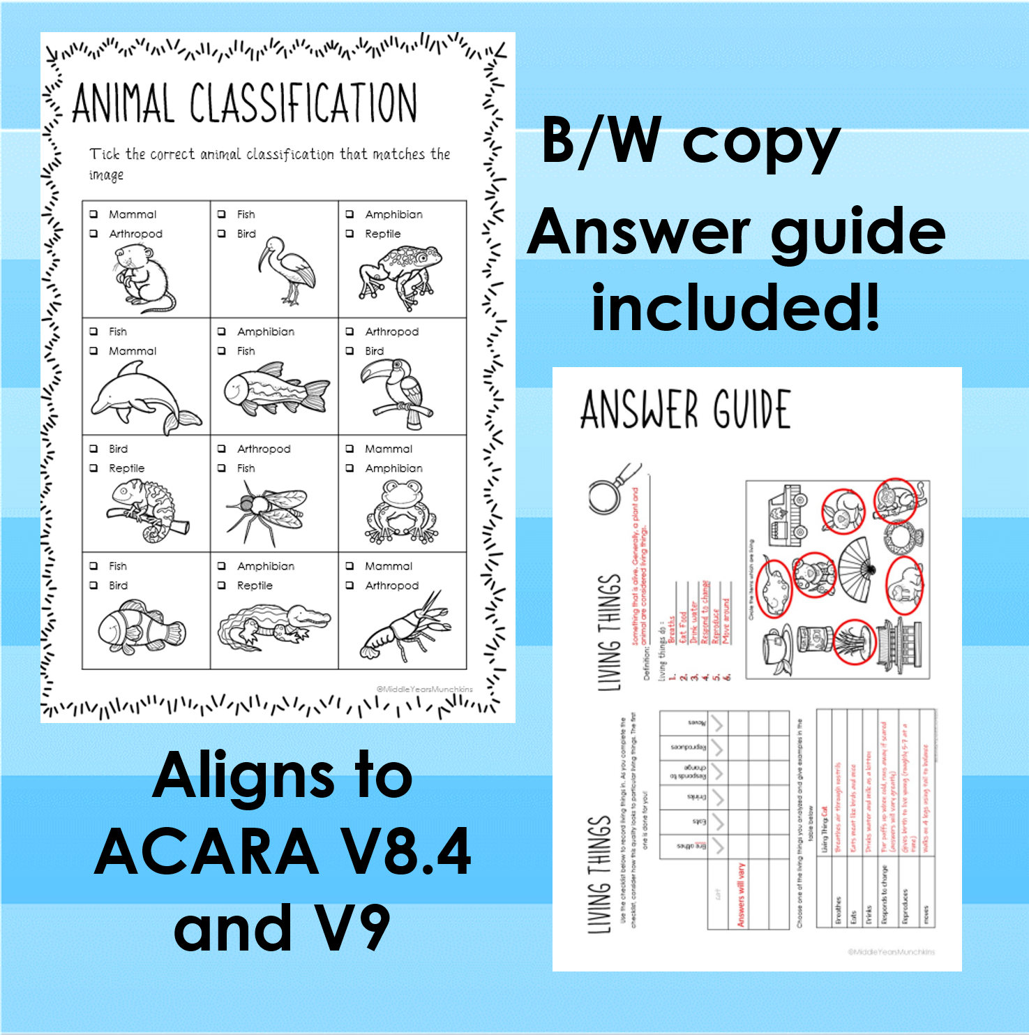 Living, Non-Living and Life Cycles Worksheets | Made By Teachers