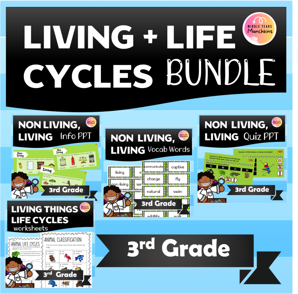 Living, Non-Living and Life Cycles Worksheets | Made By Teachers