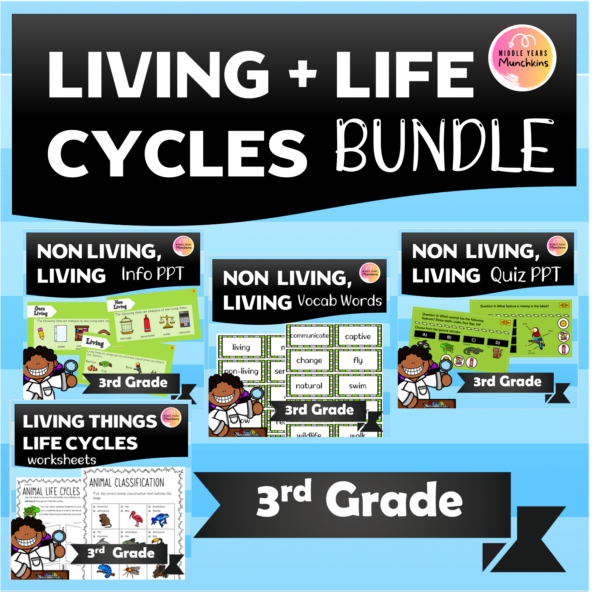 Living, Non-Living and Life Cycles Worksheets | Made By Teachers