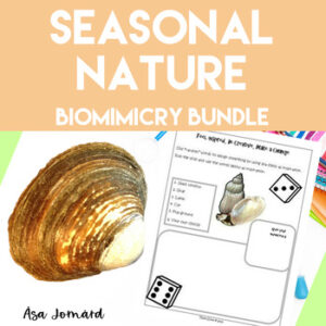 Seasonal Nature Bundle | Project Based Learning STEAM Biomimicry | Made ...