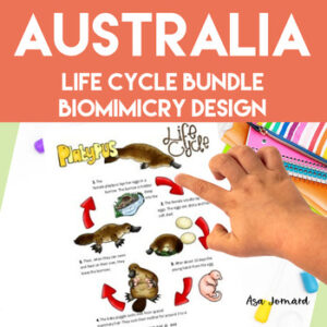 Australia Life Cycle | Biomimicry Design Inspired by Nature Compatible ...