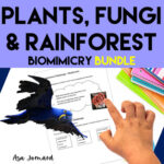 Plants Fungi Rainforest Bundle | Project Based Learning Biomimicry ...