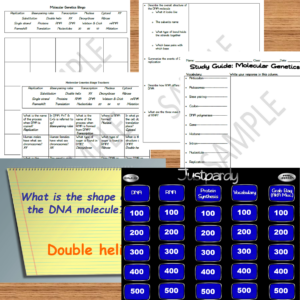 Molecular Genetics Review Packet - Made By Teachers