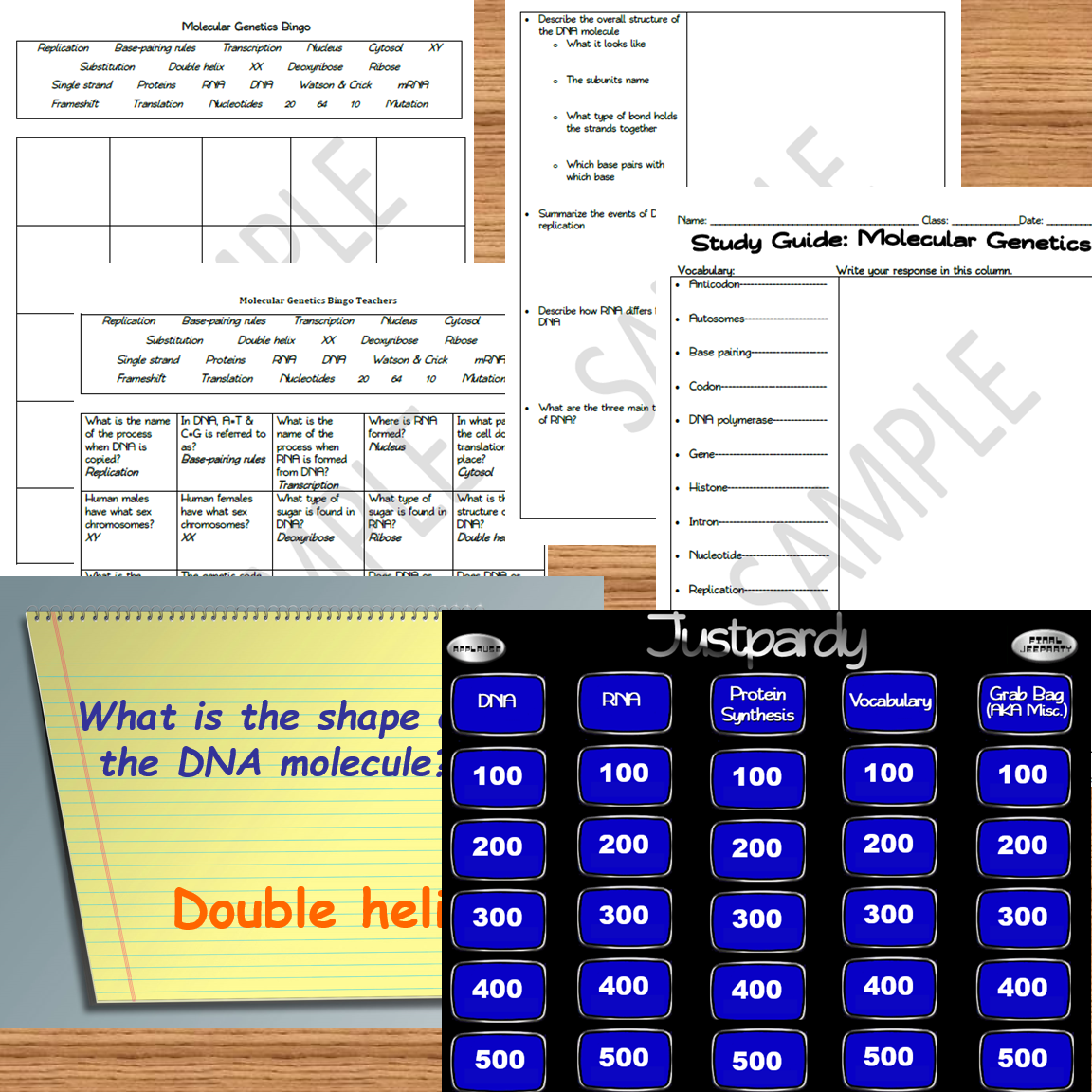Molecular Genetics Review Packet | Made By Teachers