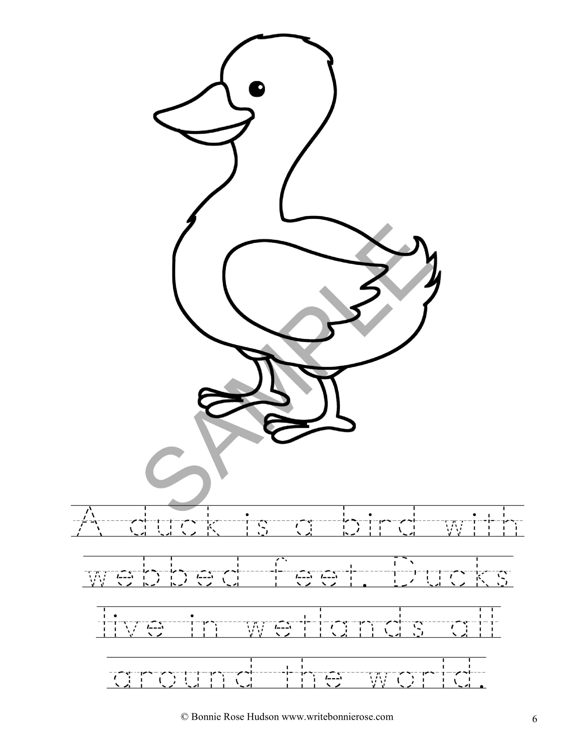 A to Z Animals Coloring Book-Level B | Made By Teachers