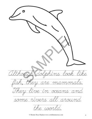 A to Z Animals Coloring Book-Level C | Made By Teachers