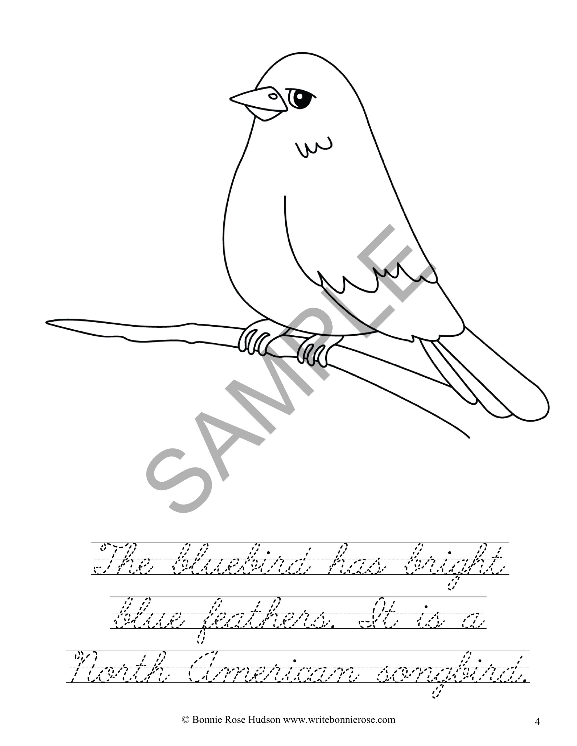 A to Z Animals Coloring Book-Level C | Made By Teachers