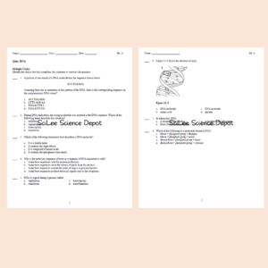 Molecular Genetics Assessment Packet | Made By Teachers