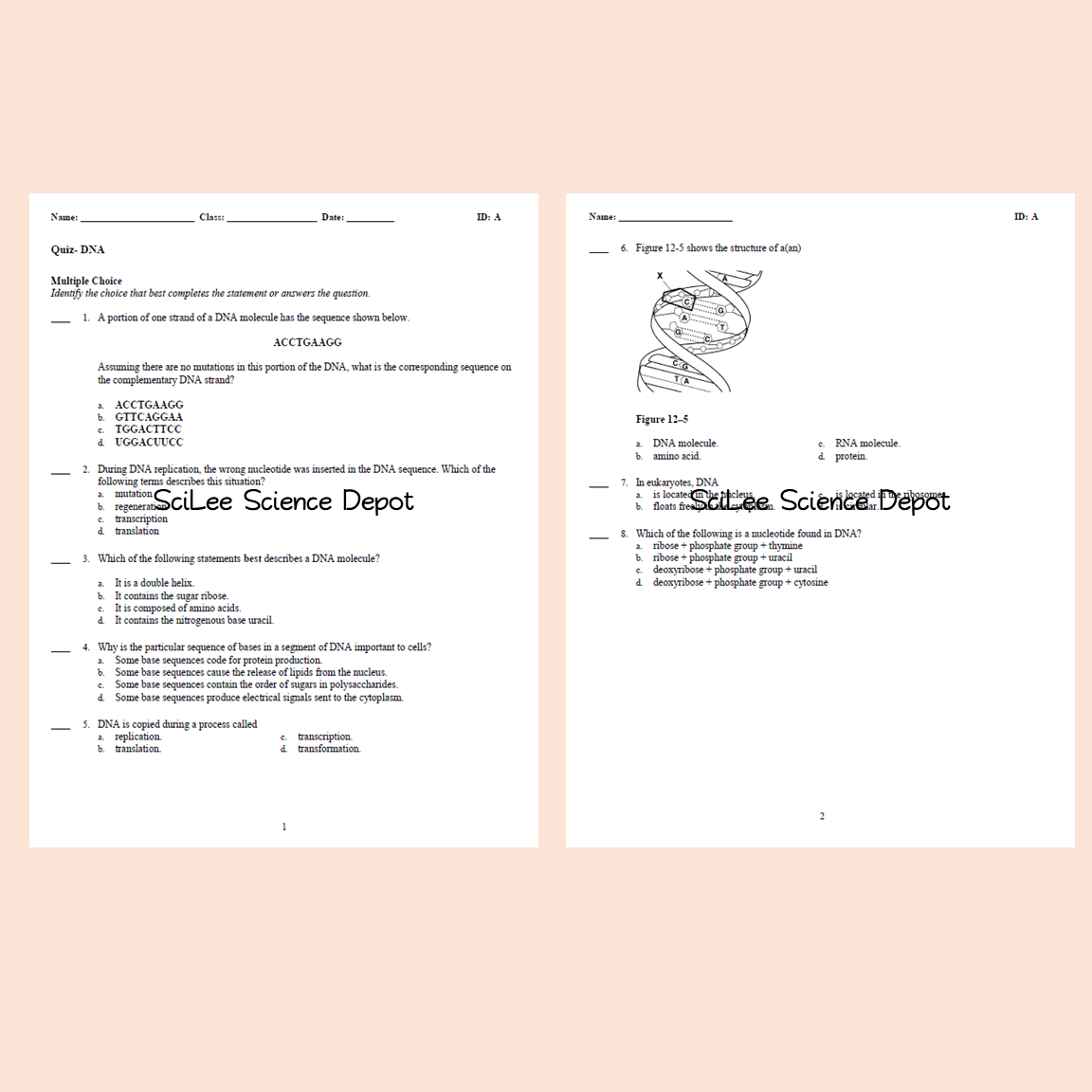 Molecular Genetics Assessment Packet | Made By Teachers