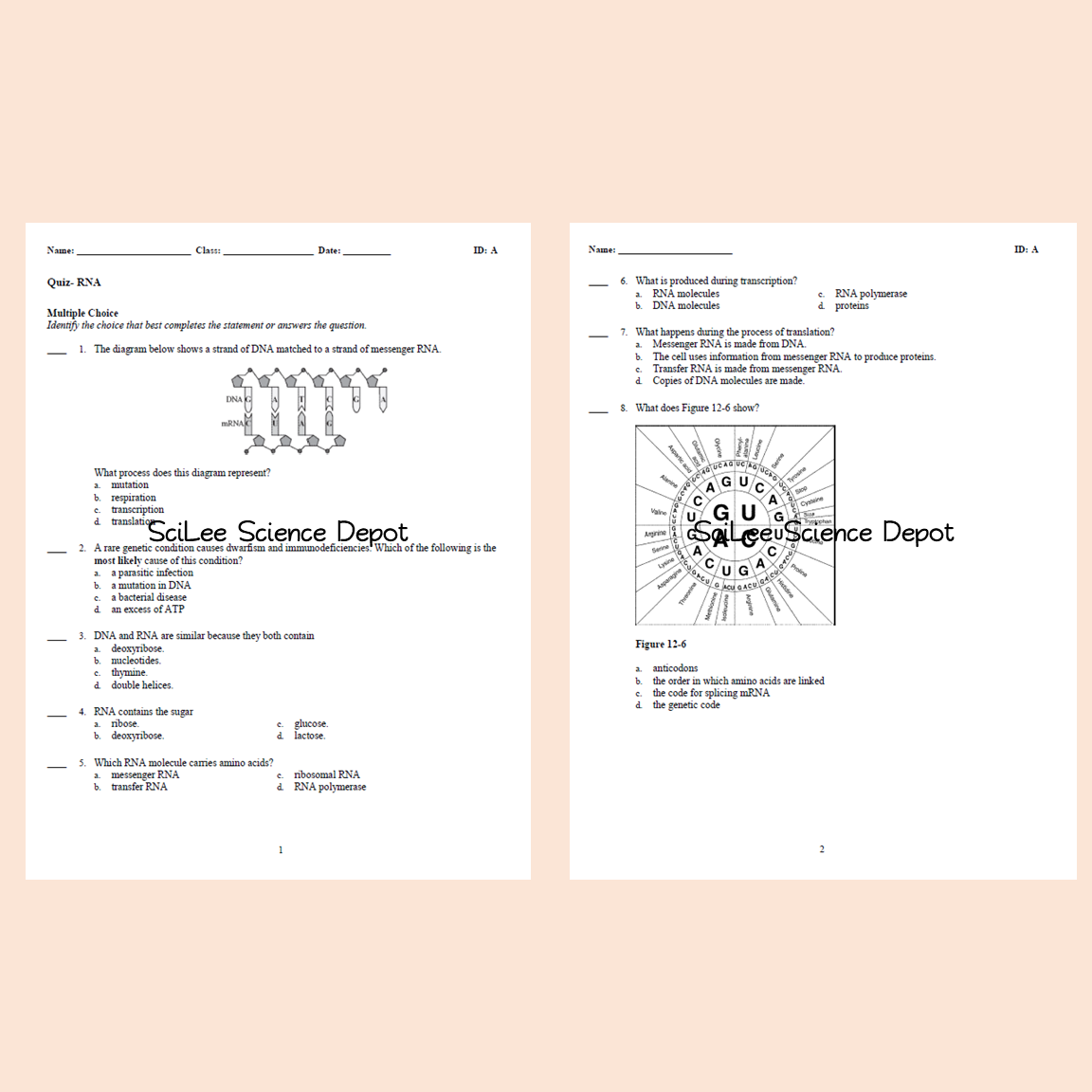 Molecular Genetics Assessment Packet | Made By Teachers