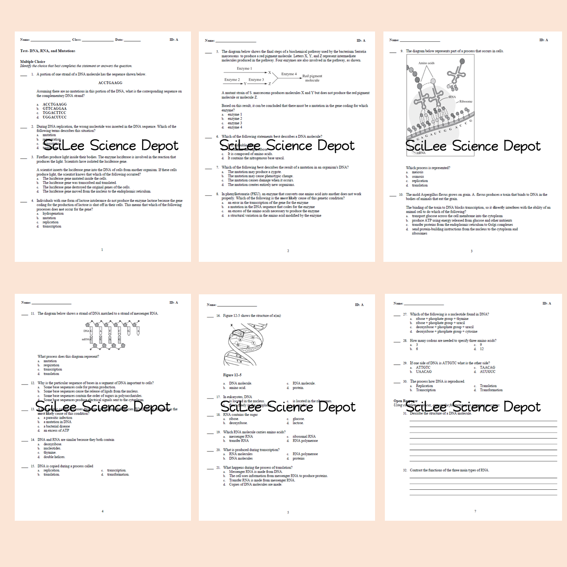 Molecular Genetics Assessment Packet | Made By Teachers