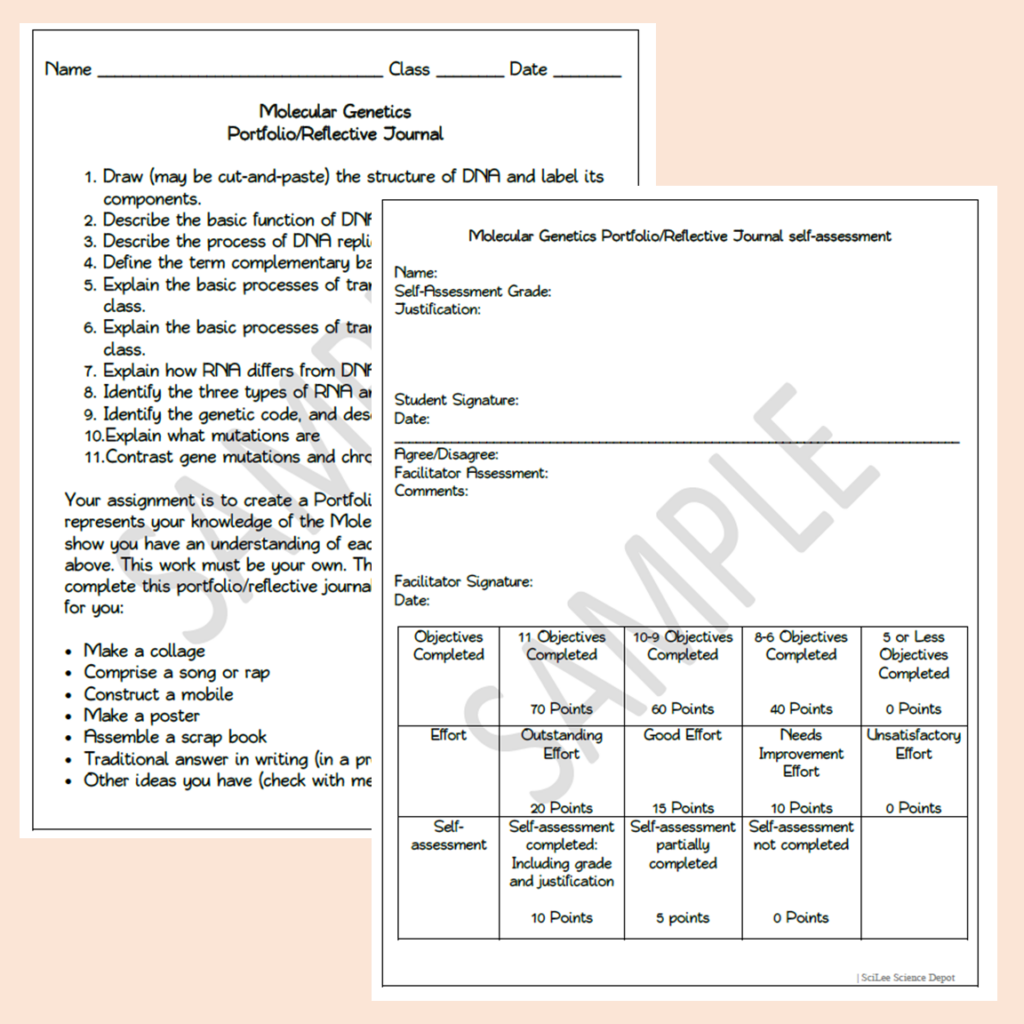 Molecular Genetics Assessment Packet | Made By Teachers