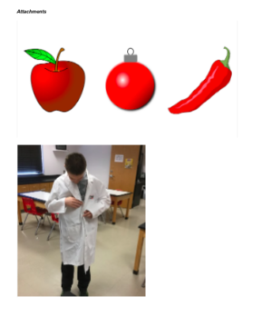 2nd Grade Science Material Properties & Classifying 2.PS1.1, 2.PS1.2 ...