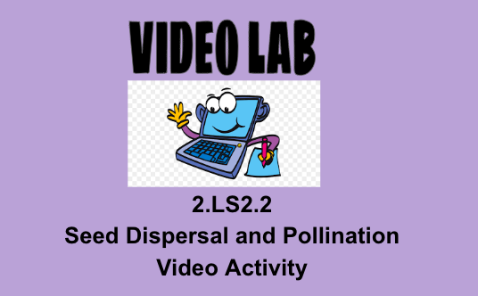 2nd Grade Science Video Lab Activity 2.LS2.2 Seed Dispersal ...