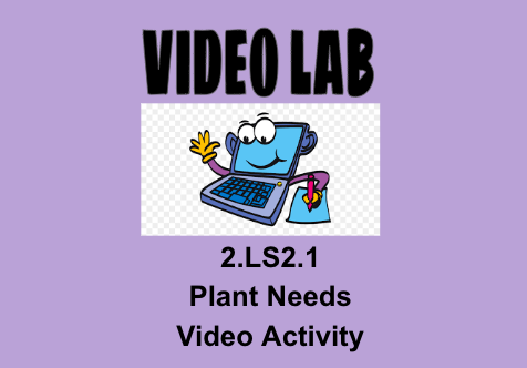 2nd Grade Science Video Lab Activity 2.LS2.1 Plant Needs | Made By Teachers