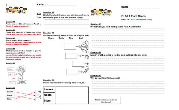 2nd Grade Science Video Lab Activity 2.LS2.1 Plant Needs | Made By Teachers