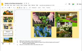 2nd Grade Science Lesson Seed Dispersal 2.LS2.2 OAS NGSS | Made By Teachers
