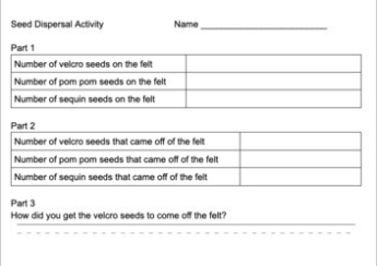 2nd Grade Science Lesson Seed Dispersal 2.LS2.2 OAS NGSS | Made By Teachers
