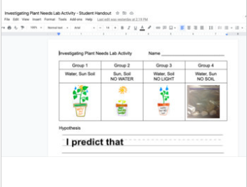2nd Grade Science Lesson Plant Needs 2.LS2.1 OAS NGSS | Made By Teachers