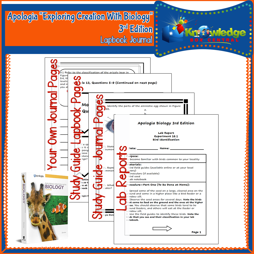 Muscular System Lapbook / Interactive Notebook | Made By Teachers
