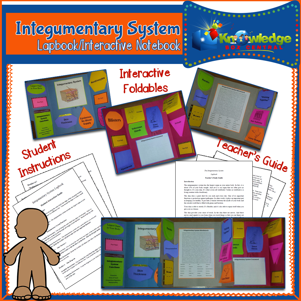 Minnesota State Symbols Interactive Foldable Booklets | Made By Teachers