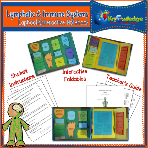 Lymphatic and Immune Systems Lapbook / Interactive Notebook | Made By ...