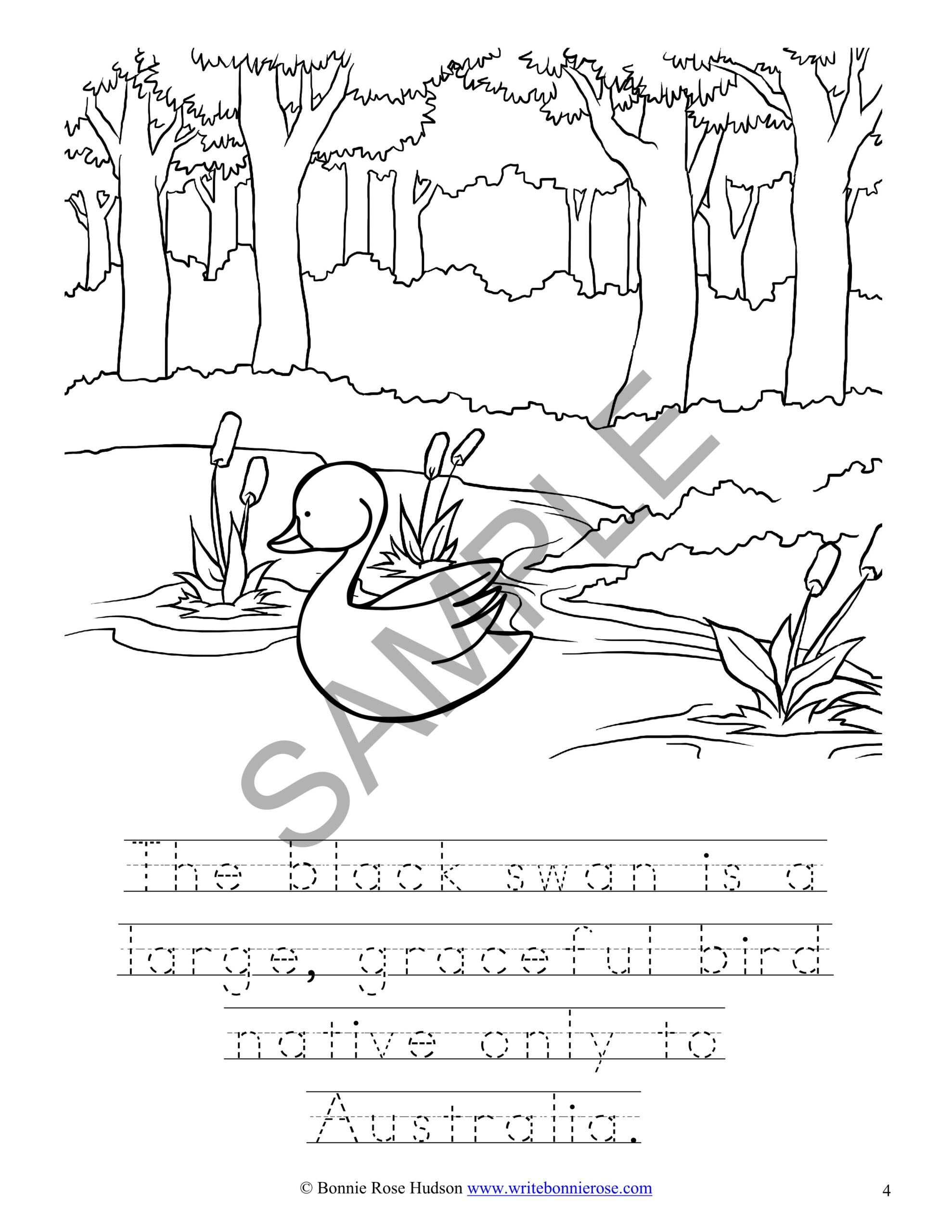 Australian Animals Coloring Book with Bonus Life Cycle of the Platypus ...