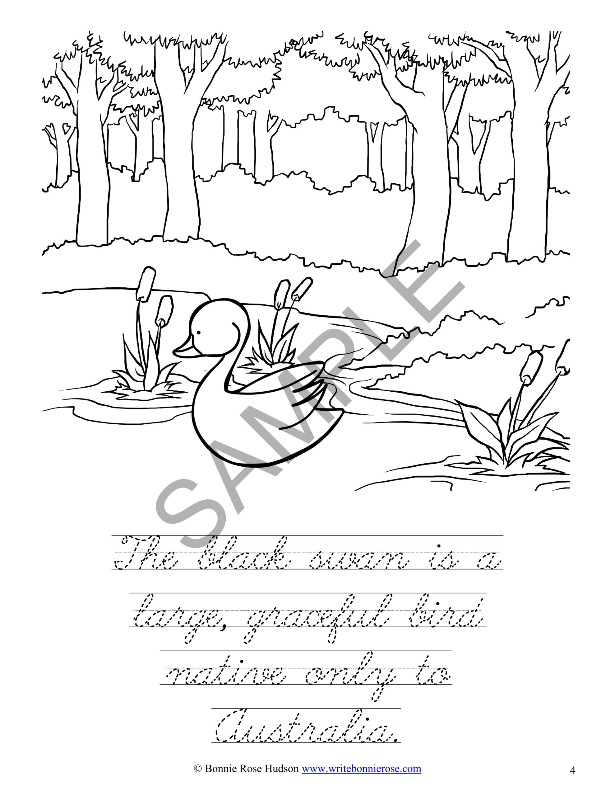 Australian Animals Coloring Book with Bonus Life Cycle of the Platypus ...