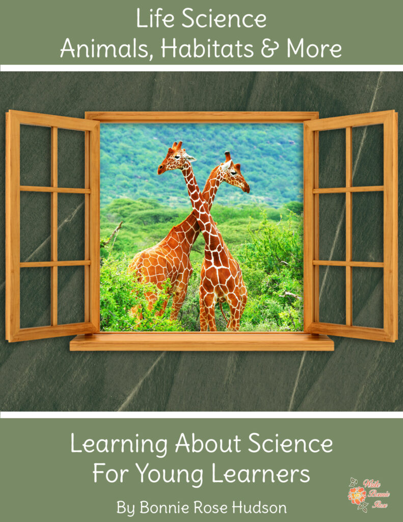 Learning About Science for Young Learners: Animals | Made By Teachers