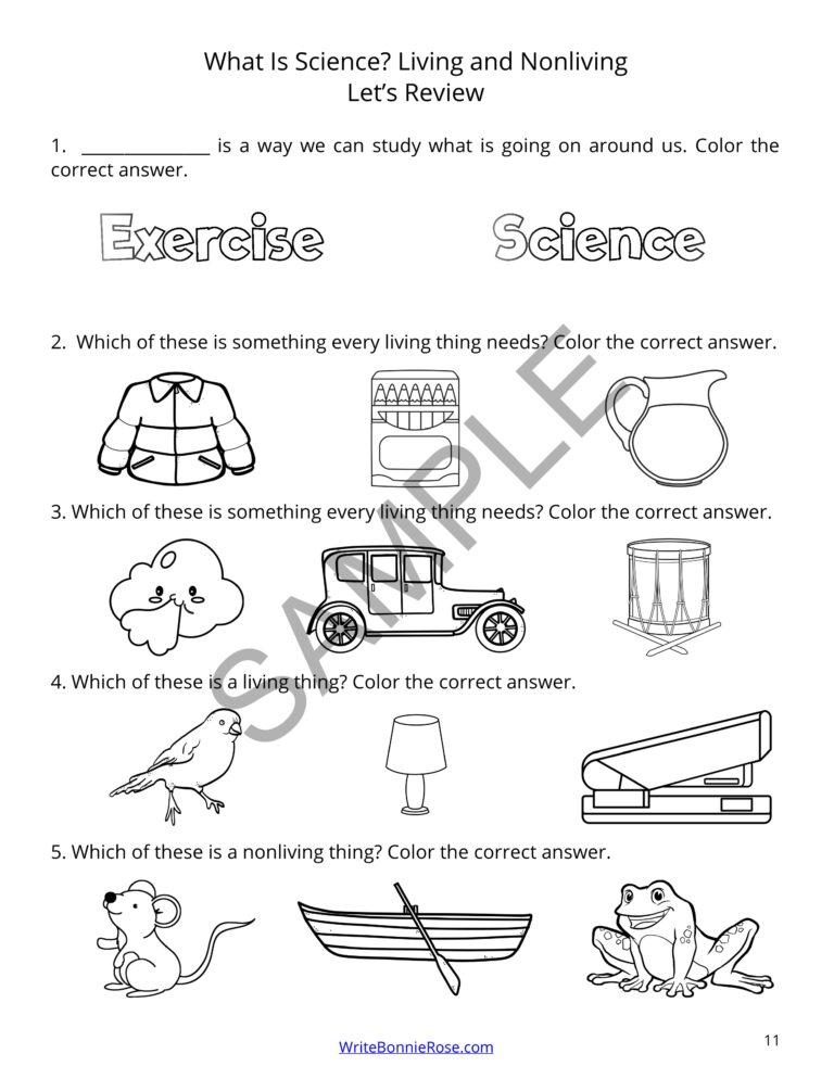 Learning About Science for Young Learners: Animals | Made By Teachers