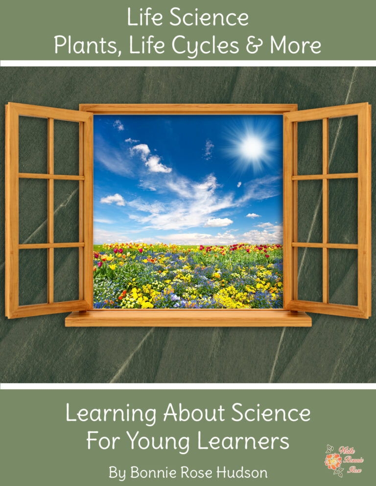 Learning About Science for Young Learners: Plants | Made By Teachers